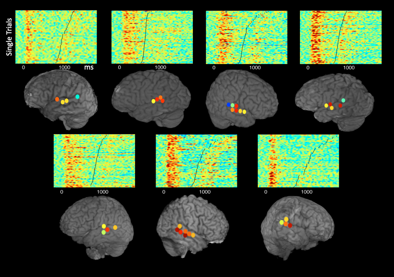 Publications – flinkerlab