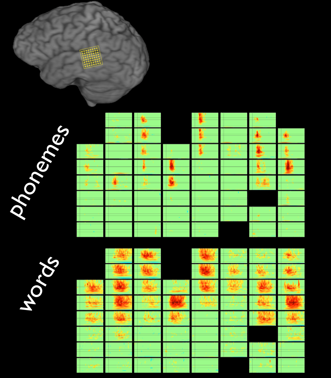 Publications – flinkerlab